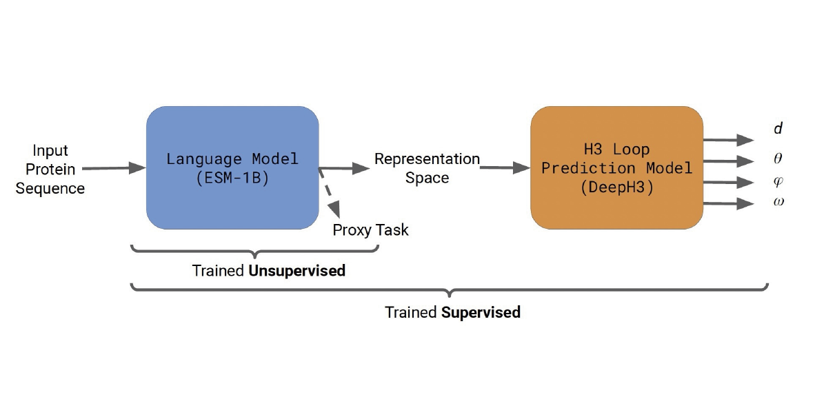 Leveraging Seif Supervised Contextual Language Models For Deep Neural